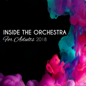 Inside the Orchestra for Adults | Denver Arts & Venues