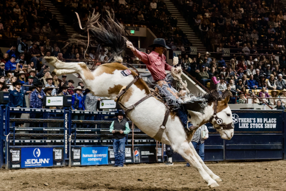 Pro Rodeo | Denver Coliseum